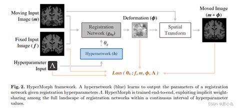 医学图像配准入门 Csdn博客