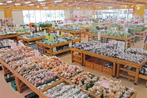 ファーマーズマーケットわいわい市藤沢店 観光スポット 小田急沿線藤沢本町長後 藤沢市観光公式ホームページ