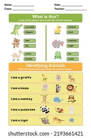 Finding Circle Correct Answer Activity Sheet Stock Vector Royalty Free Shutterstock
