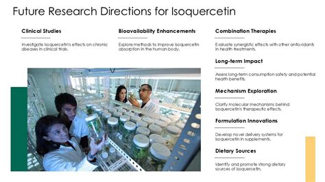 Future Research Directions For Isoquercetin Ppt Sample St Ai Ss Ppt Presentation