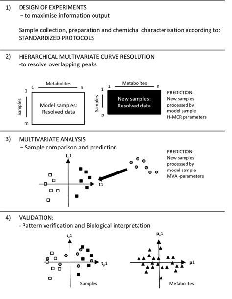 Schematic Diagram Detailing The Predictive Metabolomics Strategy Download Scientific