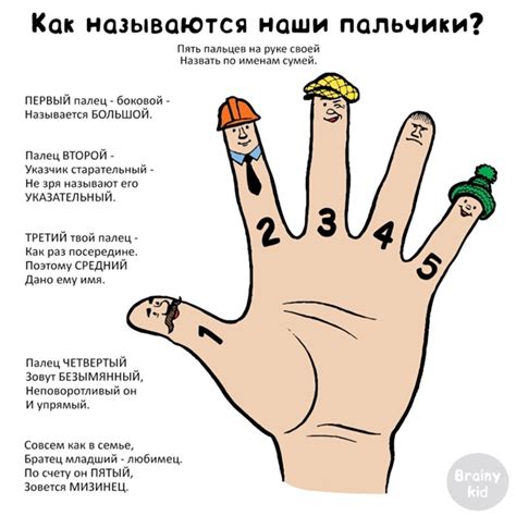 СТИШКИ ДЛЯ ЗАПОМИНАНИЯ НАЗВАНИЙ ПАЛЬЧИКОВ Я на пальчиках считала И ужасно хохотала 2025
