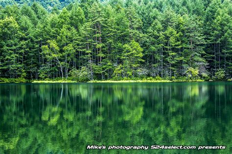 木々の映り込む御射鹿池みしゃかいけ美しき人工池の風景