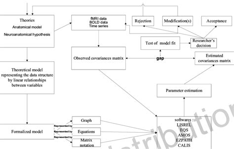 Diagram Synthesizing The Main Steps Of A Sem Analysis Download Scientific Diagram