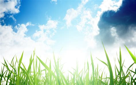 Природа для презентации Zefirka Club фото и картинки