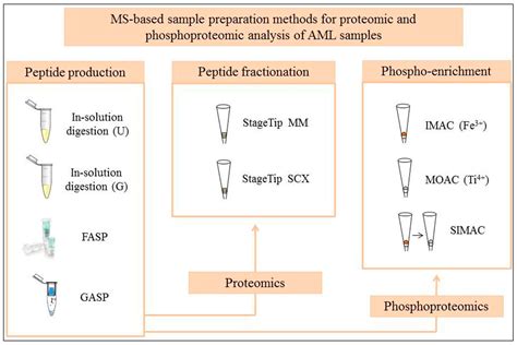 Proteomes Free Full Text Selecting Sample Preparation Workflows For
