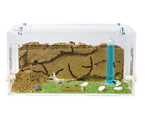 Що подарувати хлопчику на день народження 11 років Topchuk