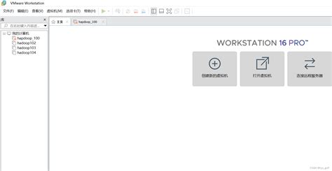 hadoop集群安装 已搭建好 可直接使用 尚硅谷大海哥的csdn csdn博客