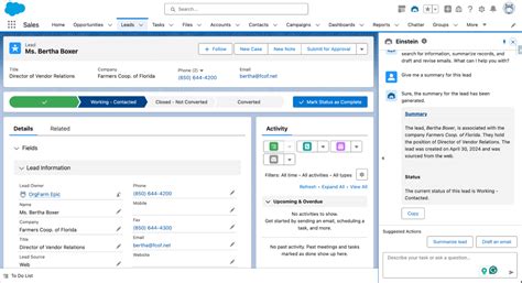 5 Example Prompts For Einstein Prompt Builder Salesforce Ben