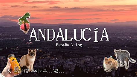 🇪🇸 19박21일 파리스페인 여행 Vlog Ep3 스페인 남부 여행 쉽지 않다 🐈고양이가 정말 많았던 스페인 남부 그라나다 론다 세테닐