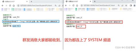 Springboot 整合 Socket 实战案例 实现 单点发送广播群发1对11对多 阿里云开发者社区