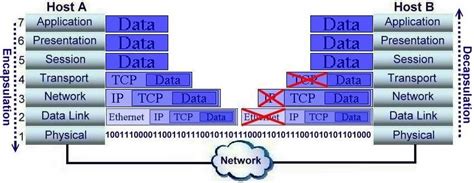 Computer Networks Demystified Communication Between Hosts In Packet