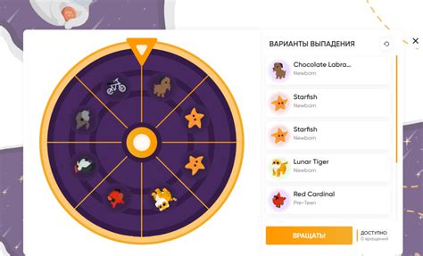 Промокоды Стар Петс (Star Pets) на Июль — Август 2025