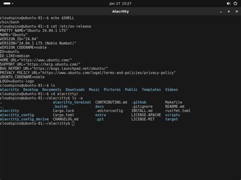 Installing Alacritty Terminal On Ubuntu 240422042004 Cloudspinx