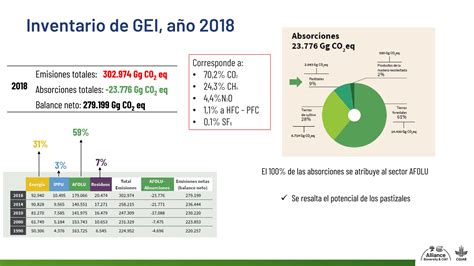 Importancia De Los Stocks De Carbono En Suelo Para Fines De Inventarios