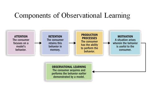 Observational Learning Diagram
