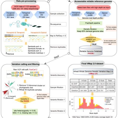 Overview Of Vmap 2 0 Data Processing Workflow Flowchart Describing Download Scientific