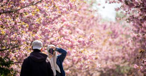 Hacemos Periodismo Infobae