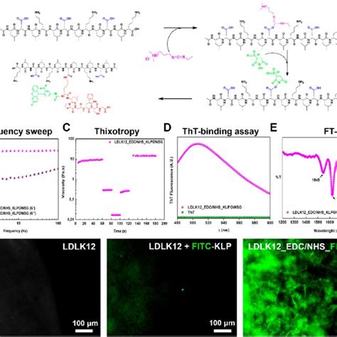 Post Assembly Functionalization Of Klpgwsg Peptide A Reaction Scheme