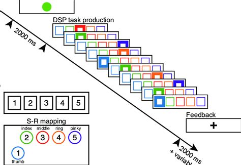 Trial Structure A Each Trial Began With The Presentation Of A