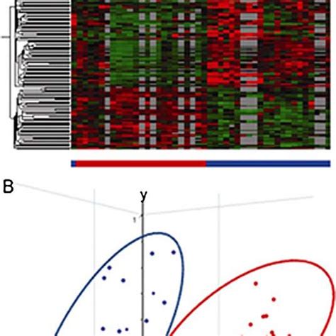 hierarchical clustering and pca analysis hierarchical clustering and