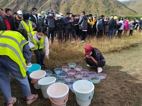 关爱水生生物共建和谐家园 甘孜县开展2022年渔业资源保护增殖放流活动 藏地阳光新闻网