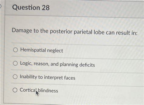 Solved Question 28Damage To The Posterior Parietal Lobe Can Chegg Com