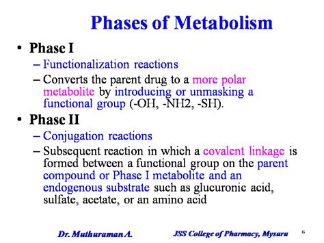 22 Pharmacokinetics Drug Metabolism Ppt