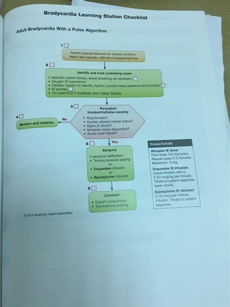 Acls Algorithm And Drug Dosages