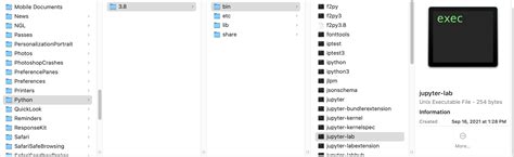 Usr Library Python Bin Jupyter Lab Bad Interpreter Library Developer CommandLineTools Usr