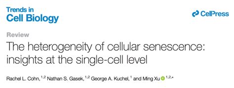Trends Cell Biol︱徐铭团队从单细胞层面评述衰老细胞的异质性及研究进展 知乎