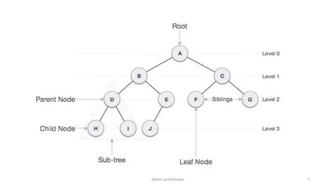 Tree Data Structure Pptx