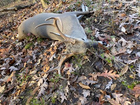 91681600 4 B4 B 4065 93 B5 080 E38 F4 F973 — Postimages