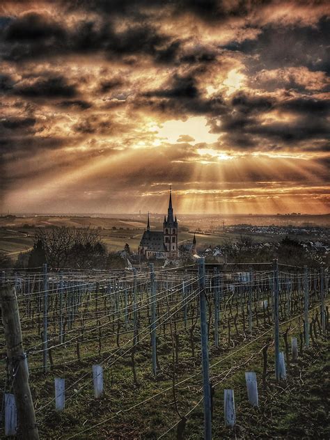 Weingut Speicher Schuth Kiedrich