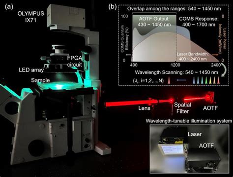 【钟声新闻网】acs Photonics报道我校电光学院陈钱、左超教授团队在计算光学显微成像领域重要研究进展 南京理工大学 智能计算