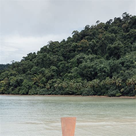 ⛵️ มาเกาะกูด White Gallery ห้องภาพสีขาว