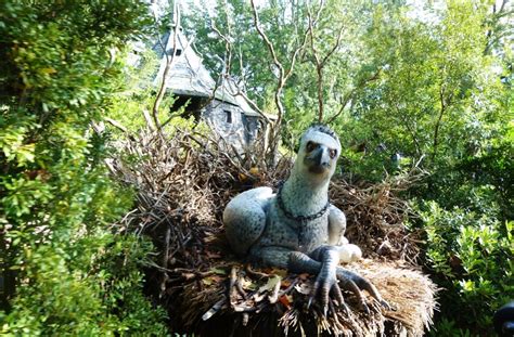 Hippogriff Harry Potter Flying