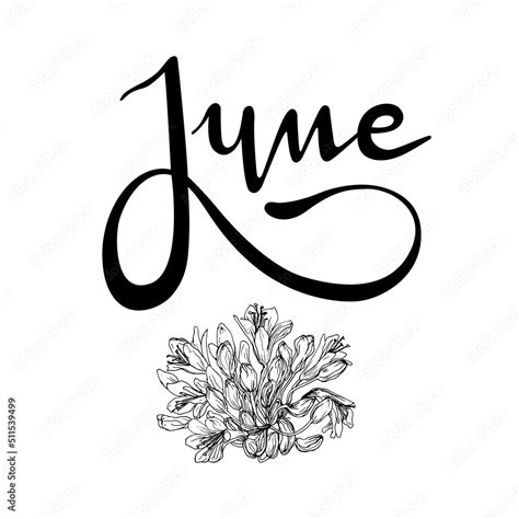 Letrero De Letras Escritas A Mano Y Vectorizado June Recurso Grafico Sobre Fondo Blanco