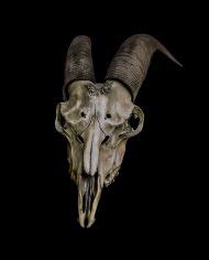 Goat Skull Baphomet Mask Ministry Of Masks