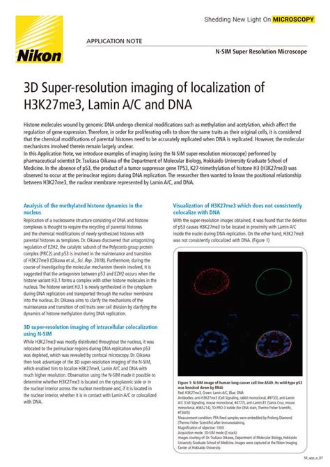 Application Notes N Sim E Super Resolution Microscopes Microscope Products Nikon