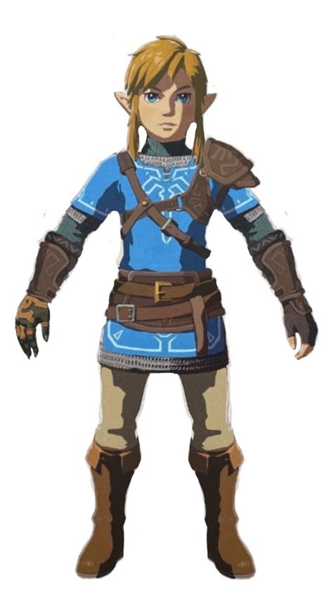 Diy Link Costume Legend Of Zelda Breath Of The Wild Majora S Mask Artofit