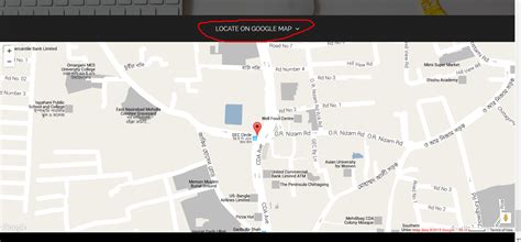Html Show Hidden Div With Effect When User Clicks On A Button Then