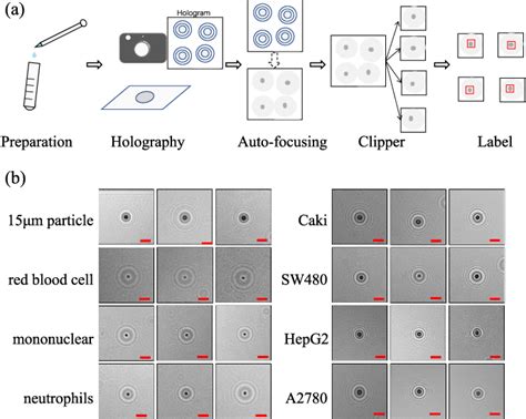 Figure 1 From A Miniaturized And Intelligent Lensless Holographic Imaging System With Auto