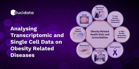 datasets