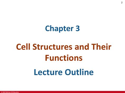 SOLUTION Anatomy Physiology Chapter Cell Structures And Their Functions Studypool