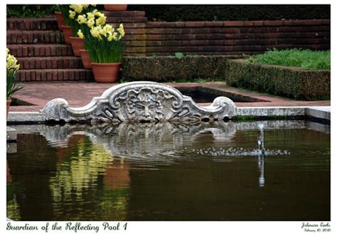 Guardian Of The Reflecting Pool 1 Filolis Reflecting Pool Flickr