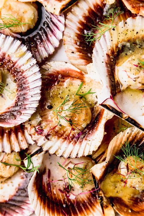 Grilled Scallops Recipe