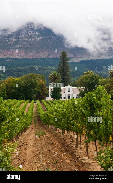 Buitenverwachting Wine Farm Situated In Constantia Valley In Cape Town