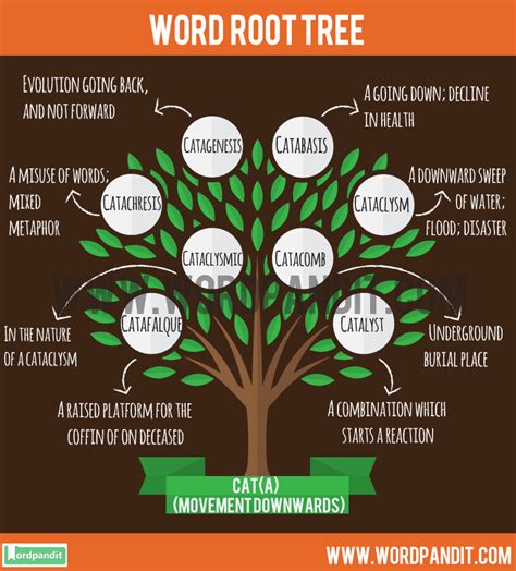 List Of Words Based On Cata Root Word With Their Meaning
