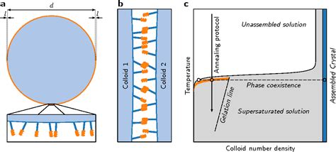 Figure 4 From Self Assembly Of Structures With Addressable Complexity